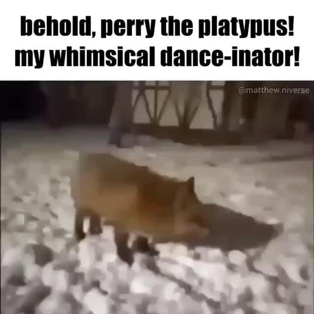 Behold, perry the platypus! my whimsical dance-inator! verse - iFunny