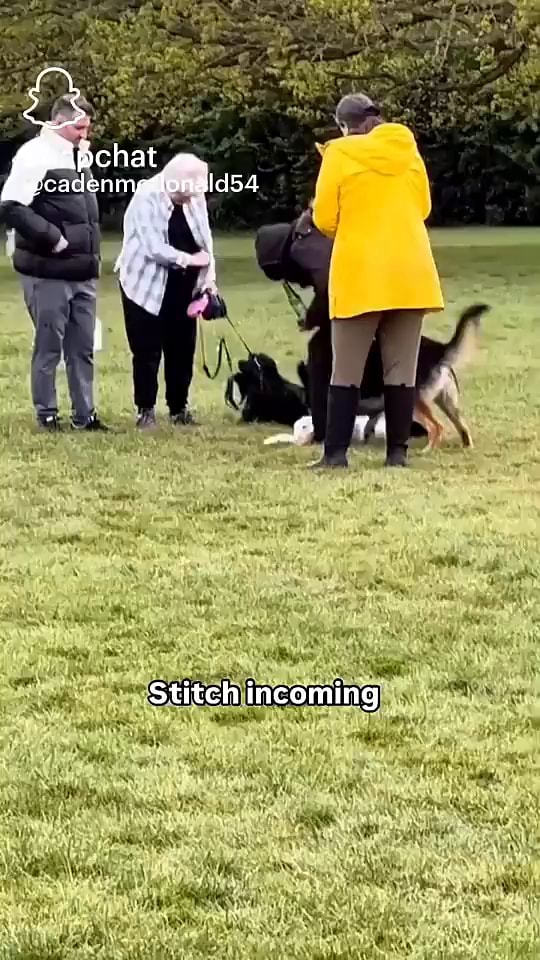 Pohat Stitch incoming - iFunny