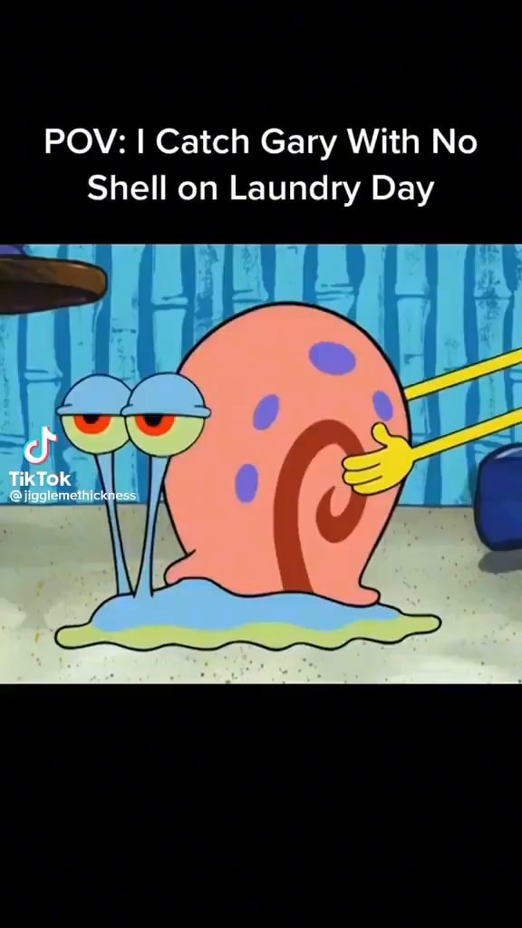 POV: I Catch Gary With No Shell on Laundry Day Tik Tow - iFunny