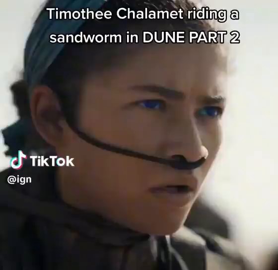 Timothee Chalamet riding a sandworm in DUNE PART 2 @iyn - iFunny
