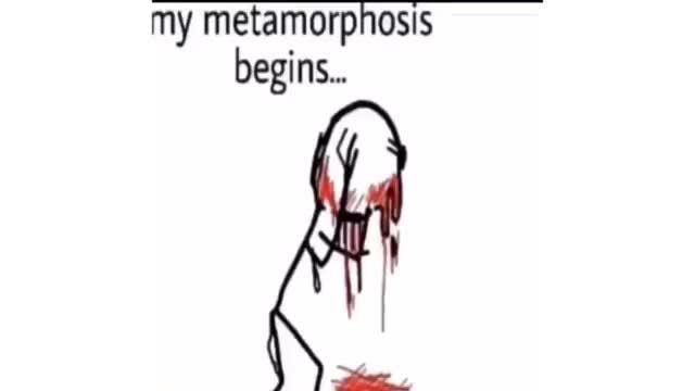 My metamorphosis begins... - iFunny