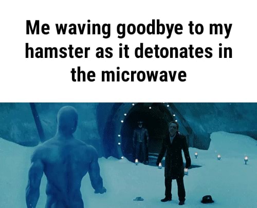 Me waving goodbye to my hamster as it detonates in the microwave - iFunny