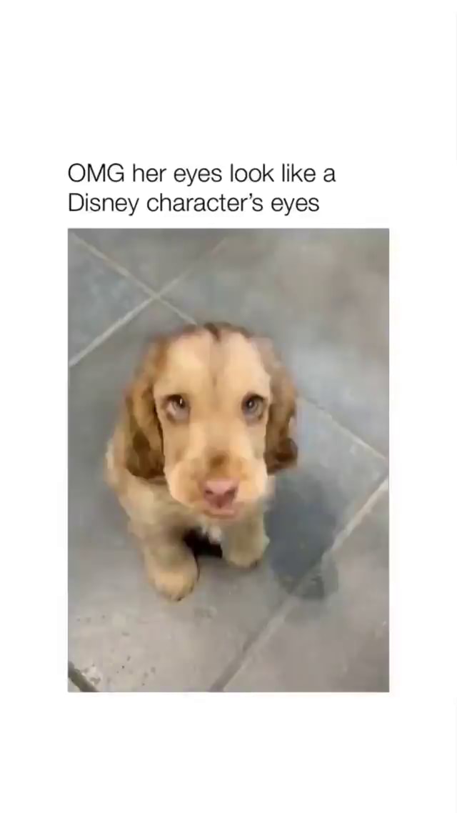 OMG her eyes look like a Disney character's eyes - iFunny