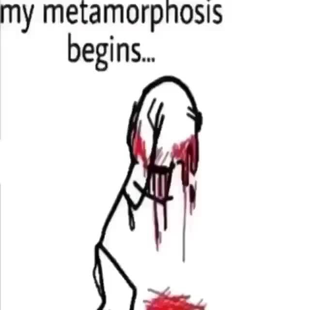 My Metamorphosis Begins Ifunny