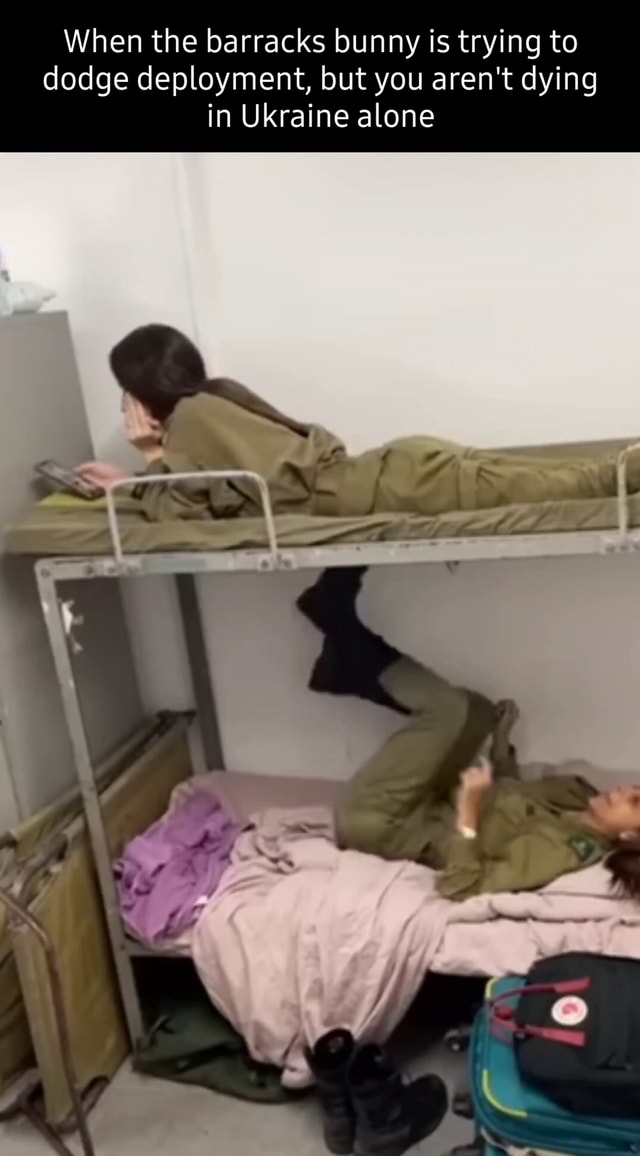 When the barracks bunny is trying to dodge deployment, but you aren't dying in Ukraine alone ...