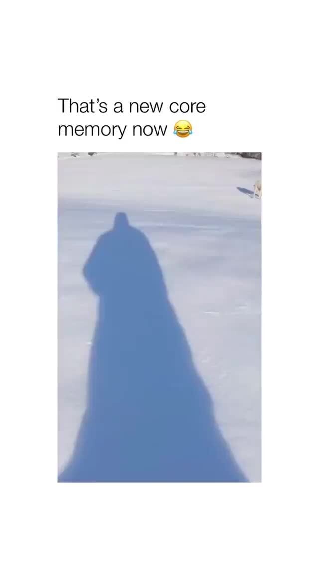 That's a new core memory now & SSs - iFunny