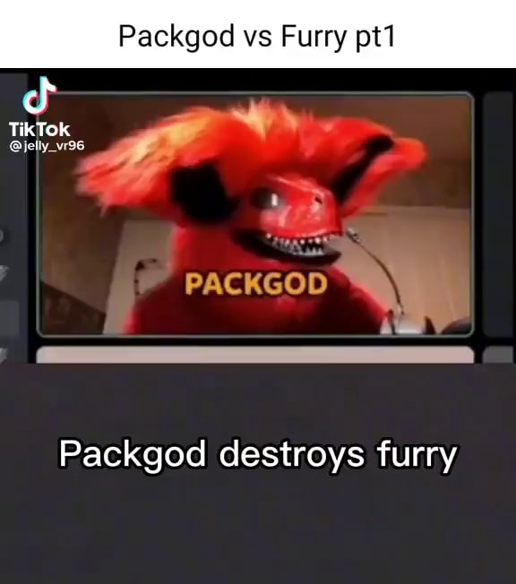Packgod vs Furry TikTok Packgod destroys furry - iFunny