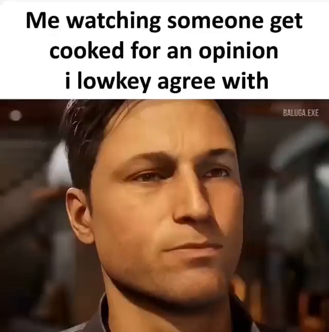 Me watching someone get cooked for an opinion i lowkey agree with - iFunny