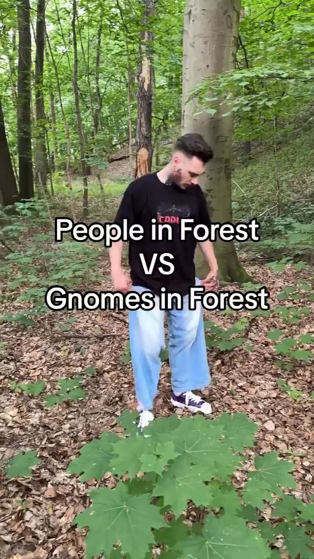 People in Forest VS Gnomes.in Forest - iFunny
