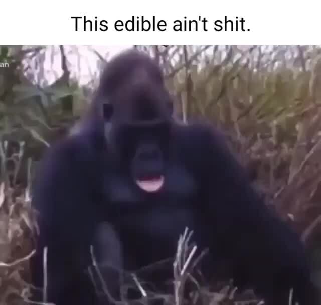 This edible ain't shit. - iFunny This edible ain't shit. - iFunny