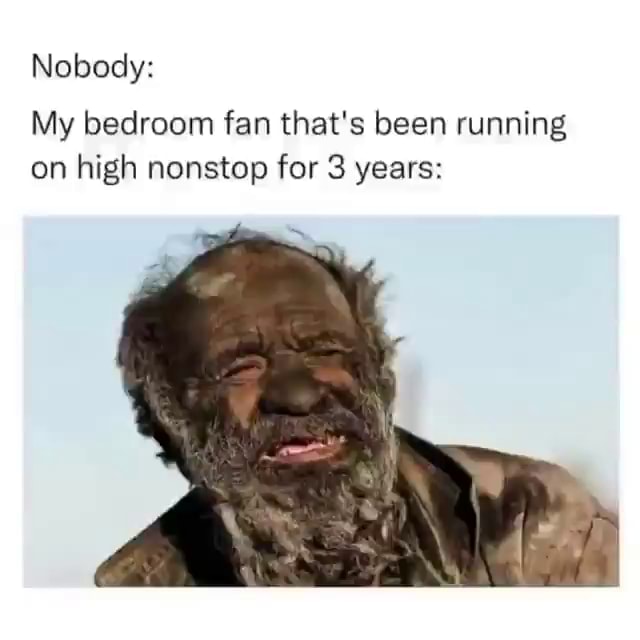 Nobody: My bedroom fan that's been running on high nonstop for 3 years ...
