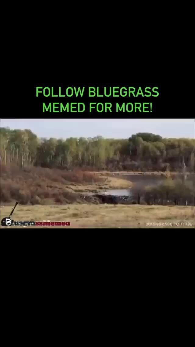 FOLLOW BLUEGRASS MEMED FOR MORE! - iFunny