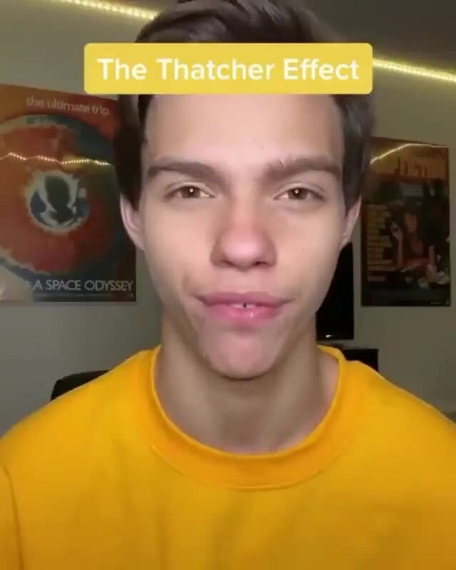 The Thatcher Effect - The Thatcne: Effect - iFunny