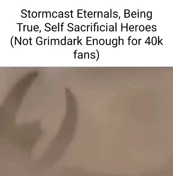 Stormcast Eternals, Being True, Self Sacrificial Heroes (Not Grimdark ...