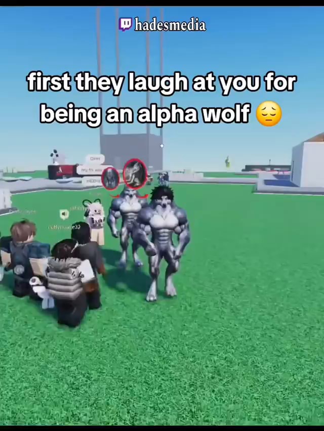 First they laugh at you for es being an alpha wolf - iFunny