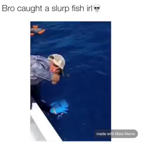 Bro caught slurp fish irl - iFunny