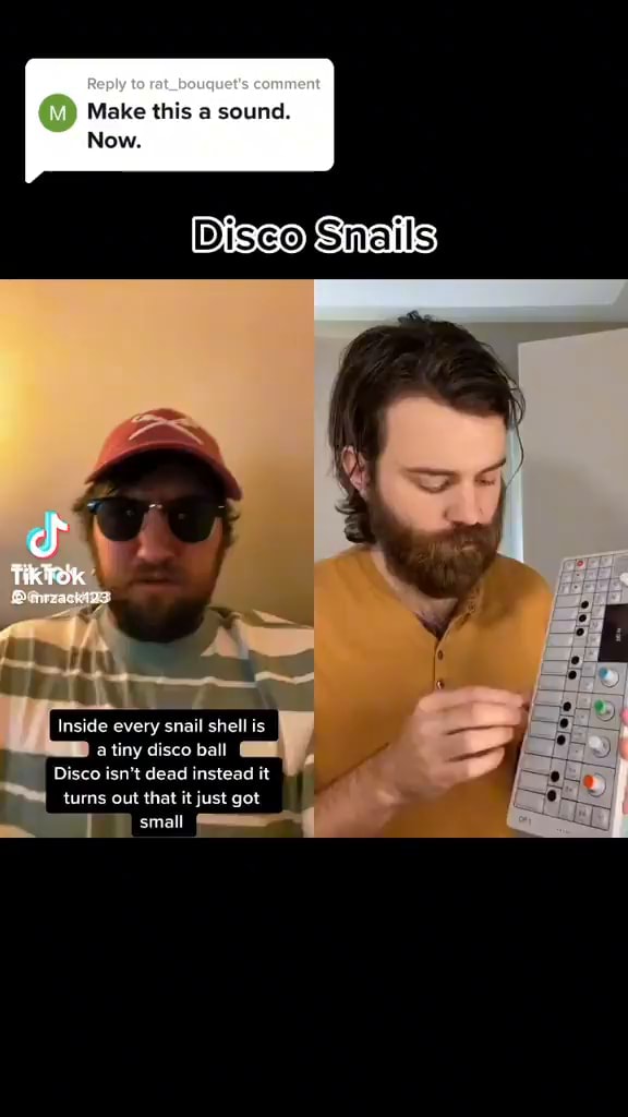To comment Make this sound. Now. Disco Snails Inside every snail shell ...