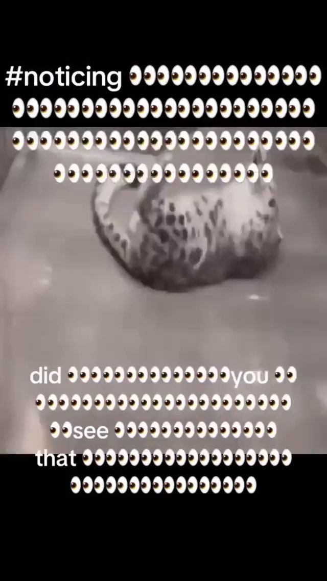 #noticing 99999999999999 wer ' oe oe - iFunny
