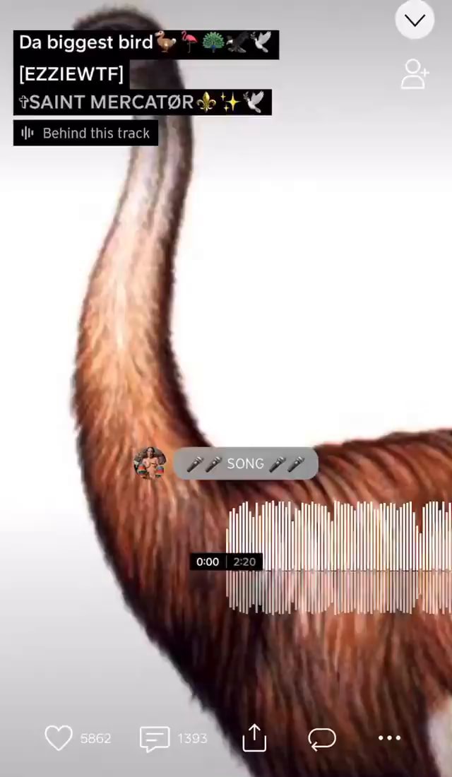 Da biggest bird W [EZZIEWTF] ?SAINT MERCATOR Behind this track - iFunny