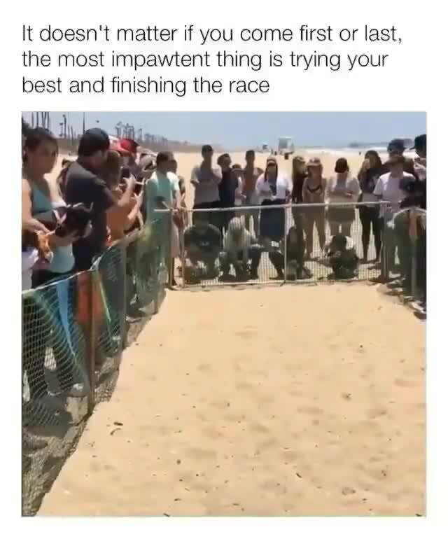 It doesn't matter if you come first or last, the most impawtent thing ...