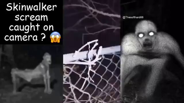 Skinwalker scream caught on camera - iFunny