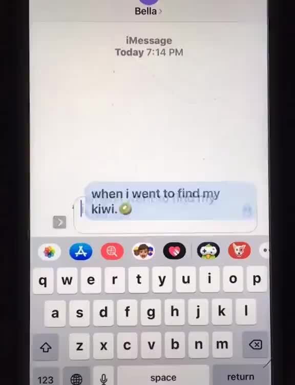 Today 7:14 PM when i went to find my I kiwi. qwerty uiiop - iFunny