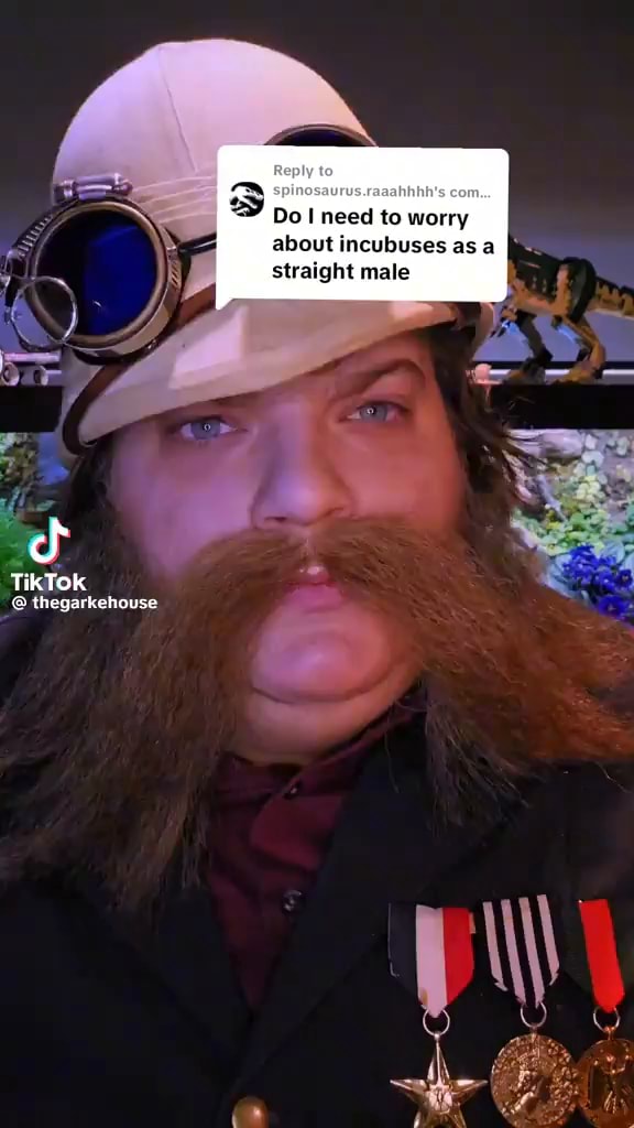 Reply to SS Do I need to worry about incubuses as straight male TikTok ...