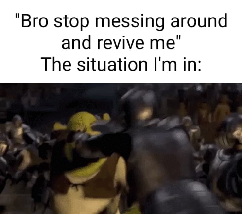 "Bro stop messing around and revive me" The situation I'm in: - iFunny