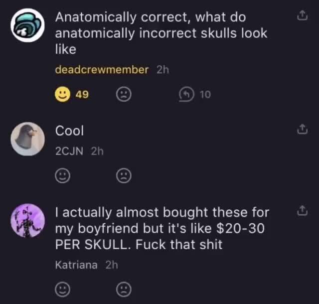 Anatomically correct, what do anatomically incorrect skulls look like ...