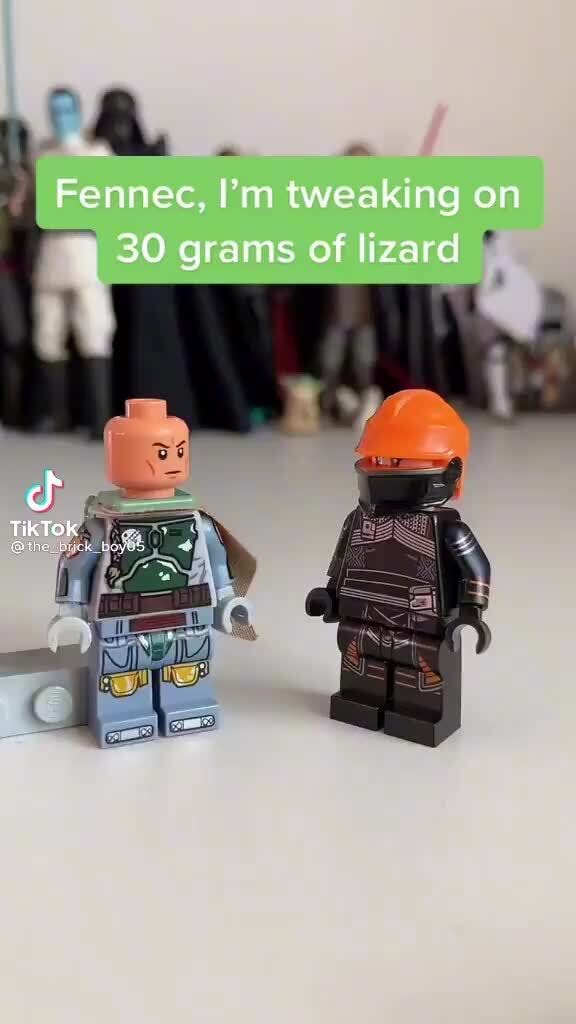 Fennec, I'm tcak ing on 30 grams of lizard cS TikTOK Sine soy - iFunny