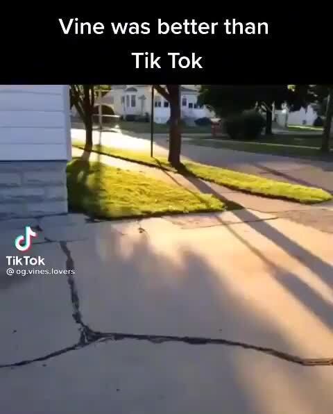 Vine was better than Tik Tok TikTok - iFunny