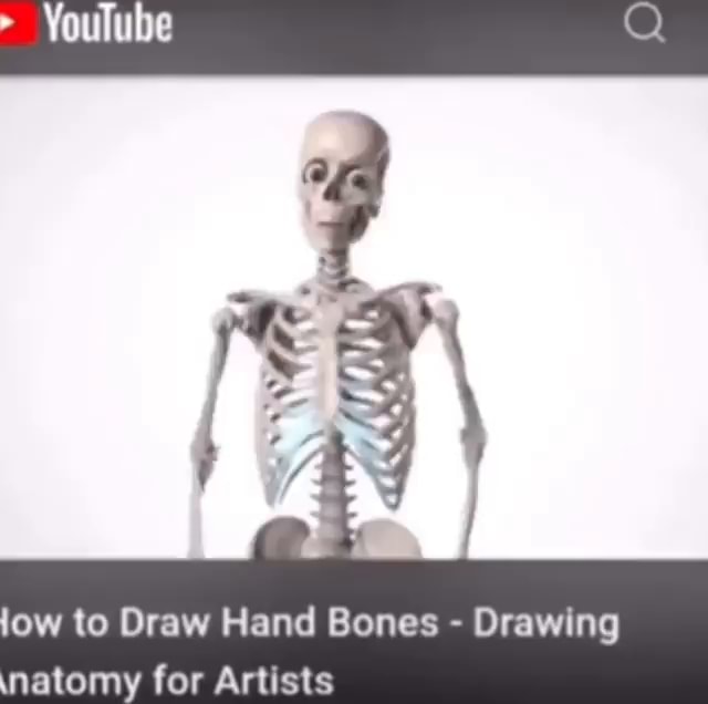 YouTube Q, ow to Draw Hand Bones - Drawing natomy for Artists - iFunny