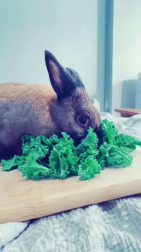 Predictive Text… - iFunny