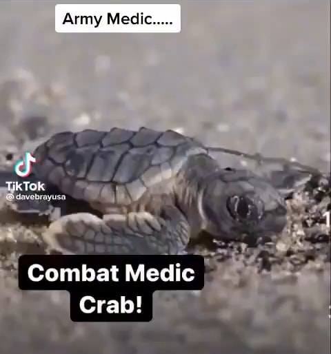 TikTok Combat Medic Crab! - iFunny