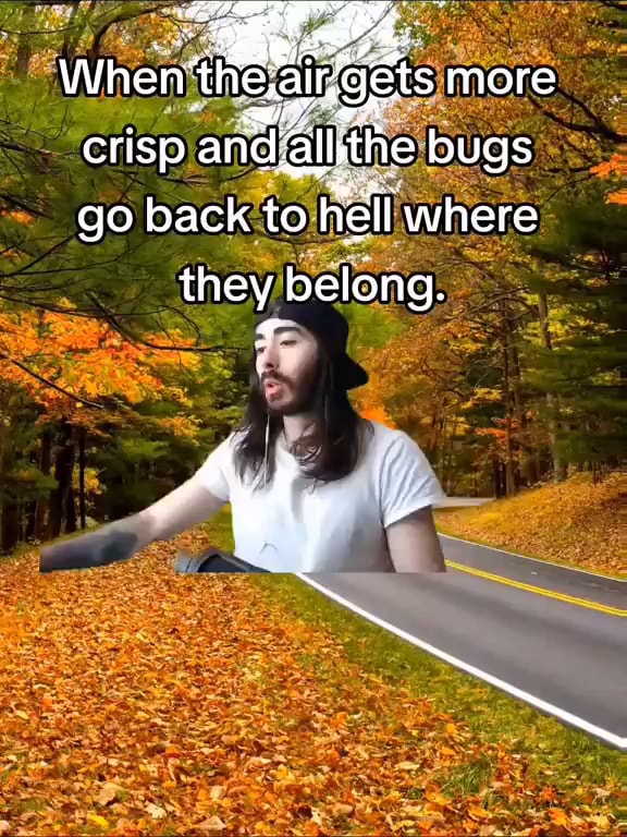 When' 'the ,aing gts more crisp and. albthe bugs go back to hell where they belong. - iFunny