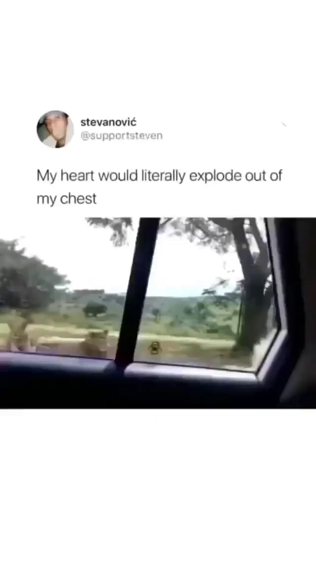 Stevanovic My heart would literally explode out of my chest - iFunny