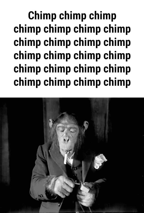 Chimp chimp chimp chimp chimp chimp chimp chimp chimp chimp chimp chimp ...