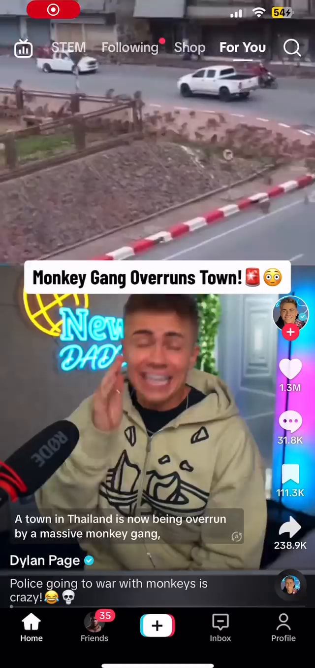 Cang A town in Thailand is now being overrun by a massive monkey gang ...
