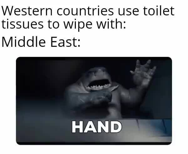Western Countries Use Toilet Tissues To Wipe With Middle East western-countries-use-toilet-tissues-to-wipe-with-middle-east