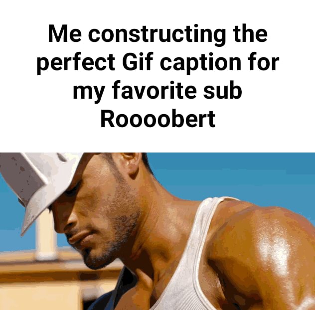 Me constructing the perfect Gif caption for my favorite sub nt Roooobe ...