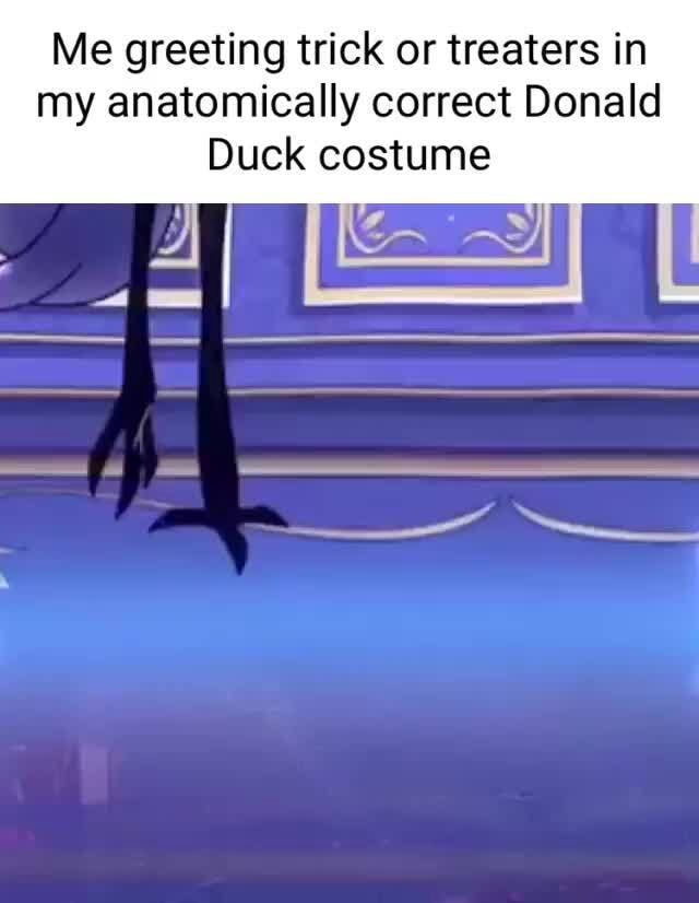 Me greeting trick or treaters in my anatomically correct Donald Duck ...