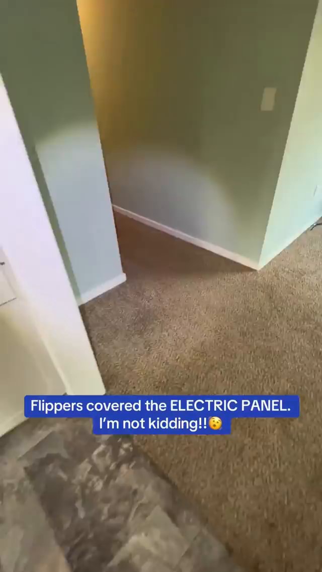 Flippers covered the ELECTRIC PANEL. I'm not kidding! - iFunny