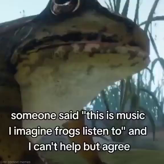 Id someone said "this is music imagine frogs listen to" and I can't ...