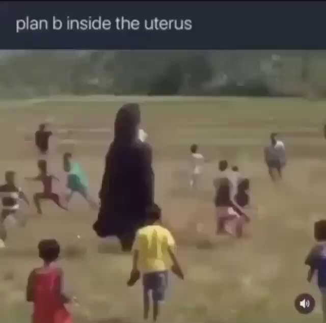 Plan inside the uterus - iFunny