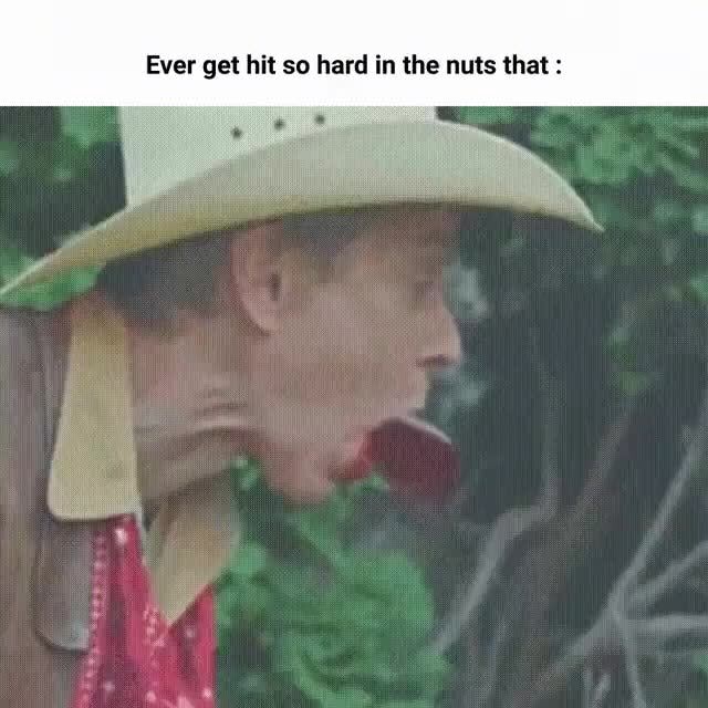 Ever get hit so hard in the nuts that - iFunny