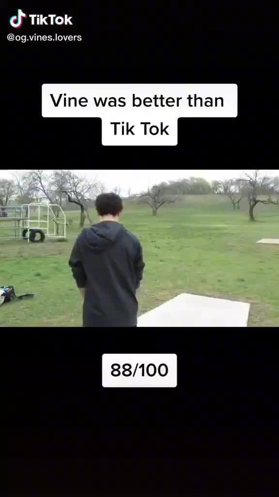 @og.vines.lovers Vine was better than Tik Tok - iFunny