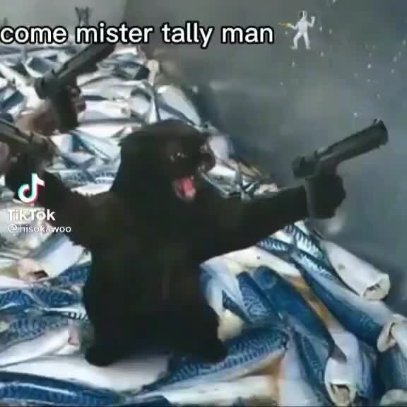 Come mister tally man Tik Tok - iFunny