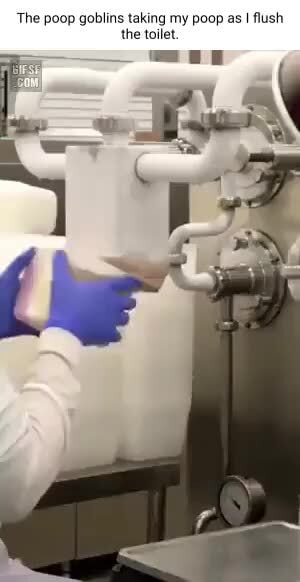 The poop goblins taking my poop as flush the toilet. - iFunny