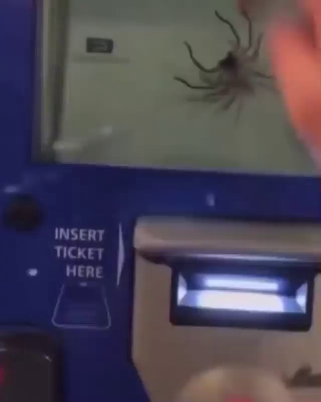 INSERT TICKET HERE - iFunny