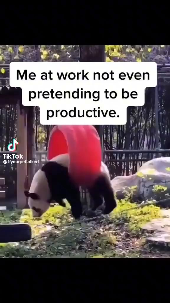 Me at work not even I pretending to be TikToK - iFunny